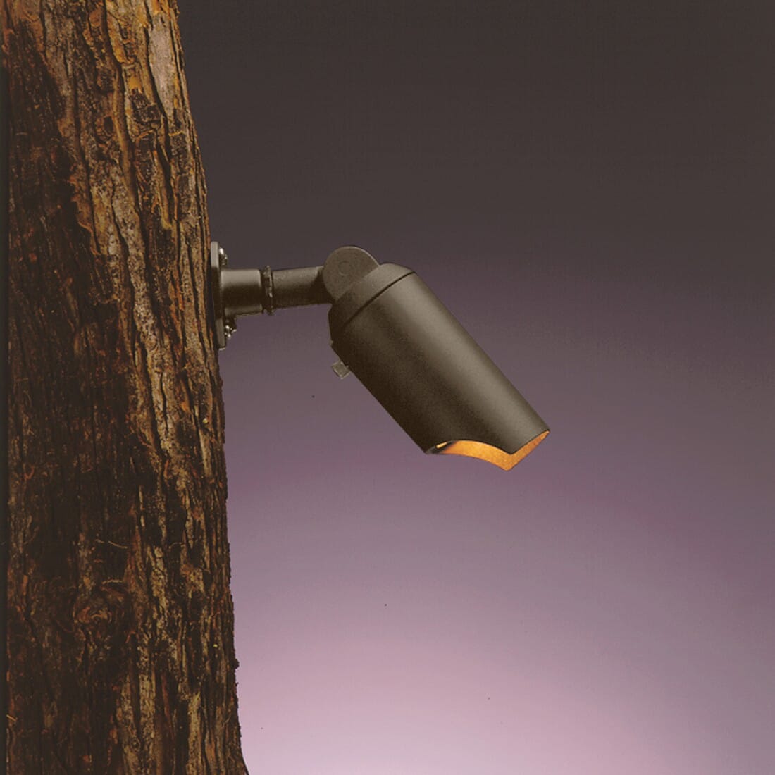 Kichler Landscape Downlight in Textured Architectural Bronze ...