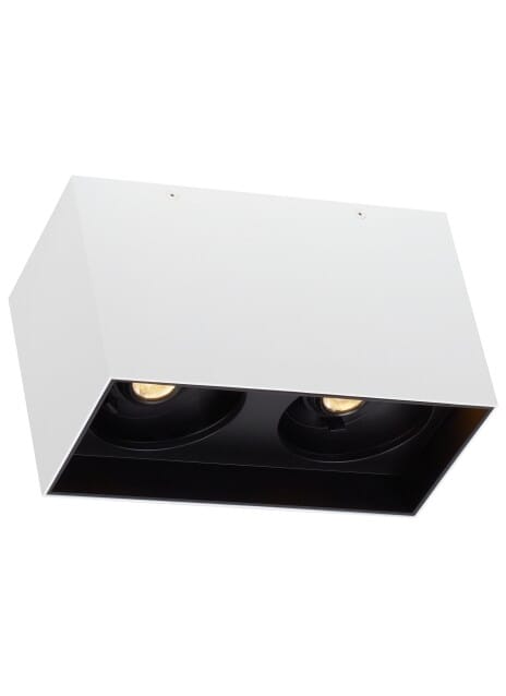Exo 2-Light 3500K LED 5" Ceiling Light in Black and Matte White ...