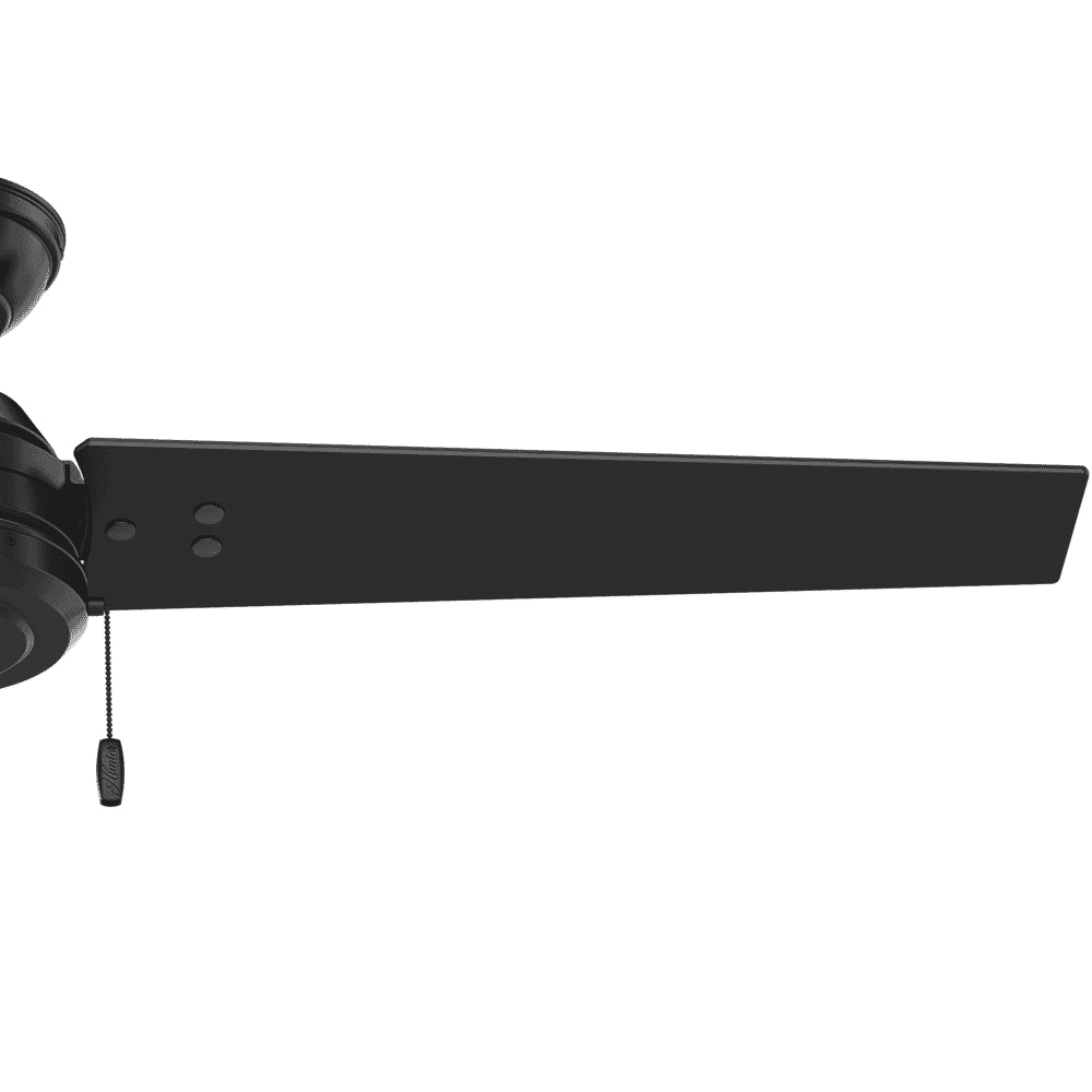 Hunter Cassius 52" Indoor/Outdoor Ceiling Fan in Matte Black