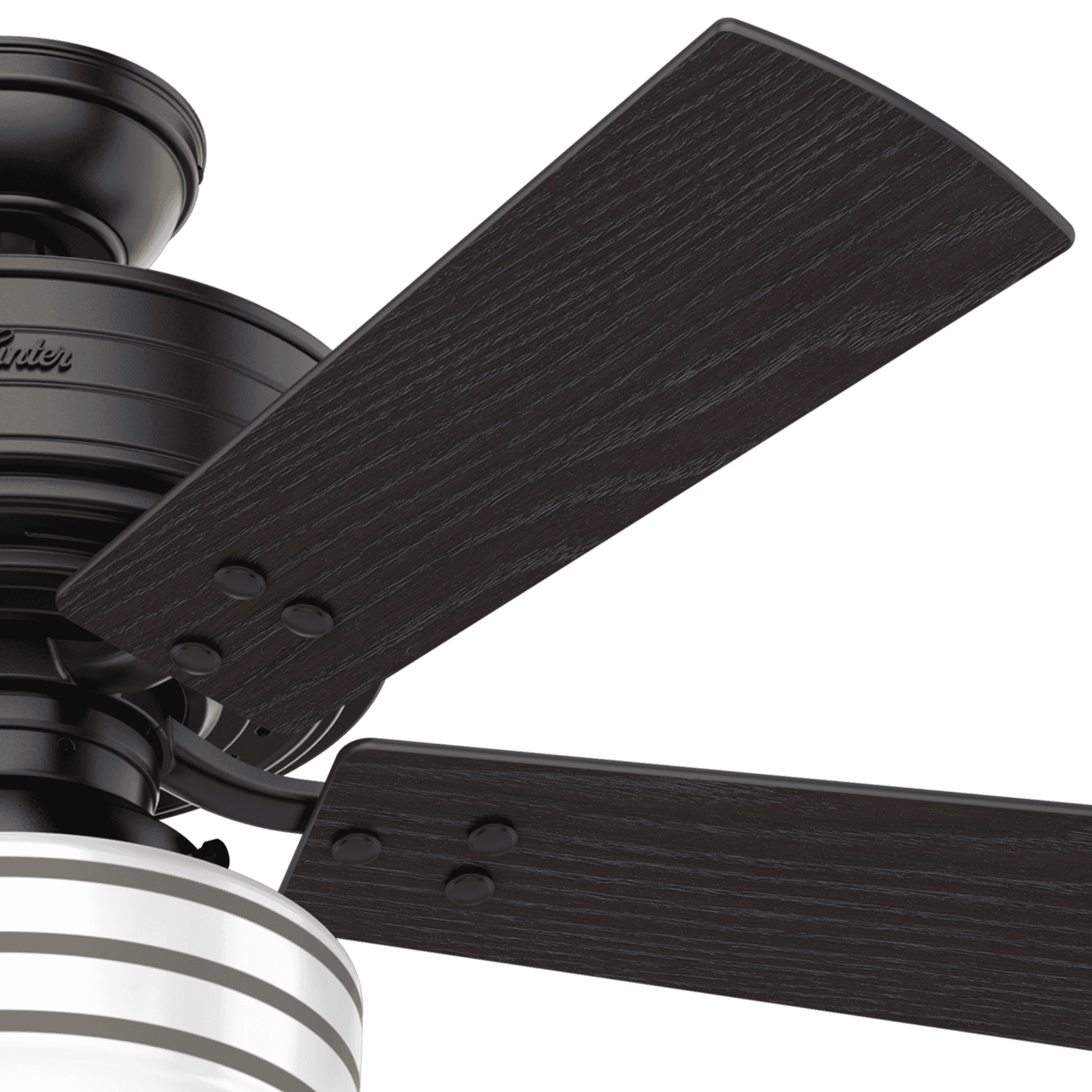 Hunter Cedar Key 44" Indoor/Outdoor Ceiling Fan in Matte Black
